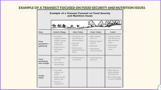 Rapid rural appraisal (RRA) and Participatory Rural Appraisal (PRA)) | PPTX