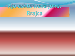 Projekt gjeografie :Rrajca | PPT