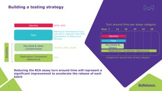 Rapid Replication Competent Adenovirus (rRCA) Detection: Accelerate ...