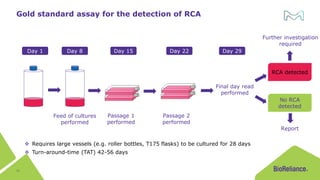 Rapid replication competent adenovirus (rRCA) detection: Accelerate ...