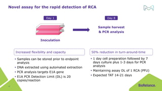 Rapid replication competent adenovirus (rRCA) detection: Accelerate ...