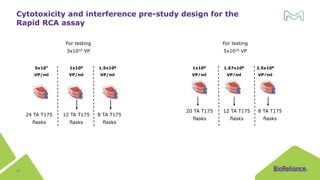 Rapid replication competent adenovirus (rRCA) detection: Accelerate ...