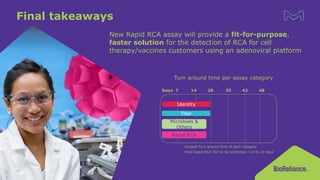 Rapid replication competent adenovirus (rRCA) detection: Accelerate ...