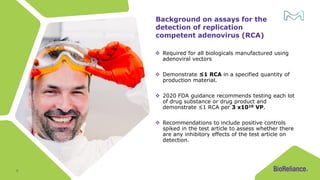 Rapid replication competent adenovirus (rRCA) detection: Accelerate ...