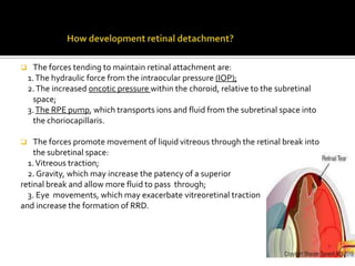 Rhegmatogenous Retinal Detachment --RRD | PPTX