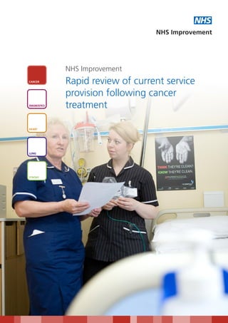 Rapid review of current service provision following cancer treatment | PDF