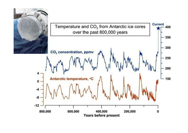 Past Ocean sequestration of carbon and implications for calcifiers ...