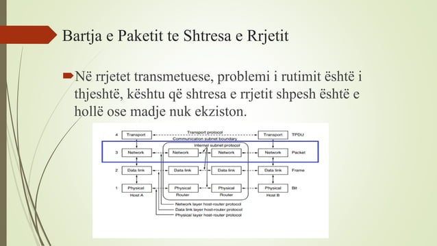 Rrjeta kompjuterike - Modeli Hibrid | PDF