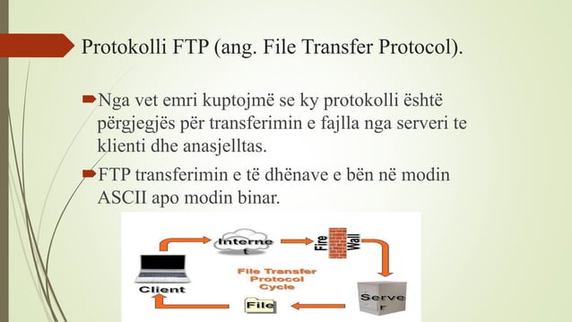 Rrjeta kompjuterike - Modeli Hibrid | PDF