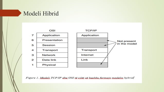Rrjeta kompjuterike - Modeli Hibrid | PDF