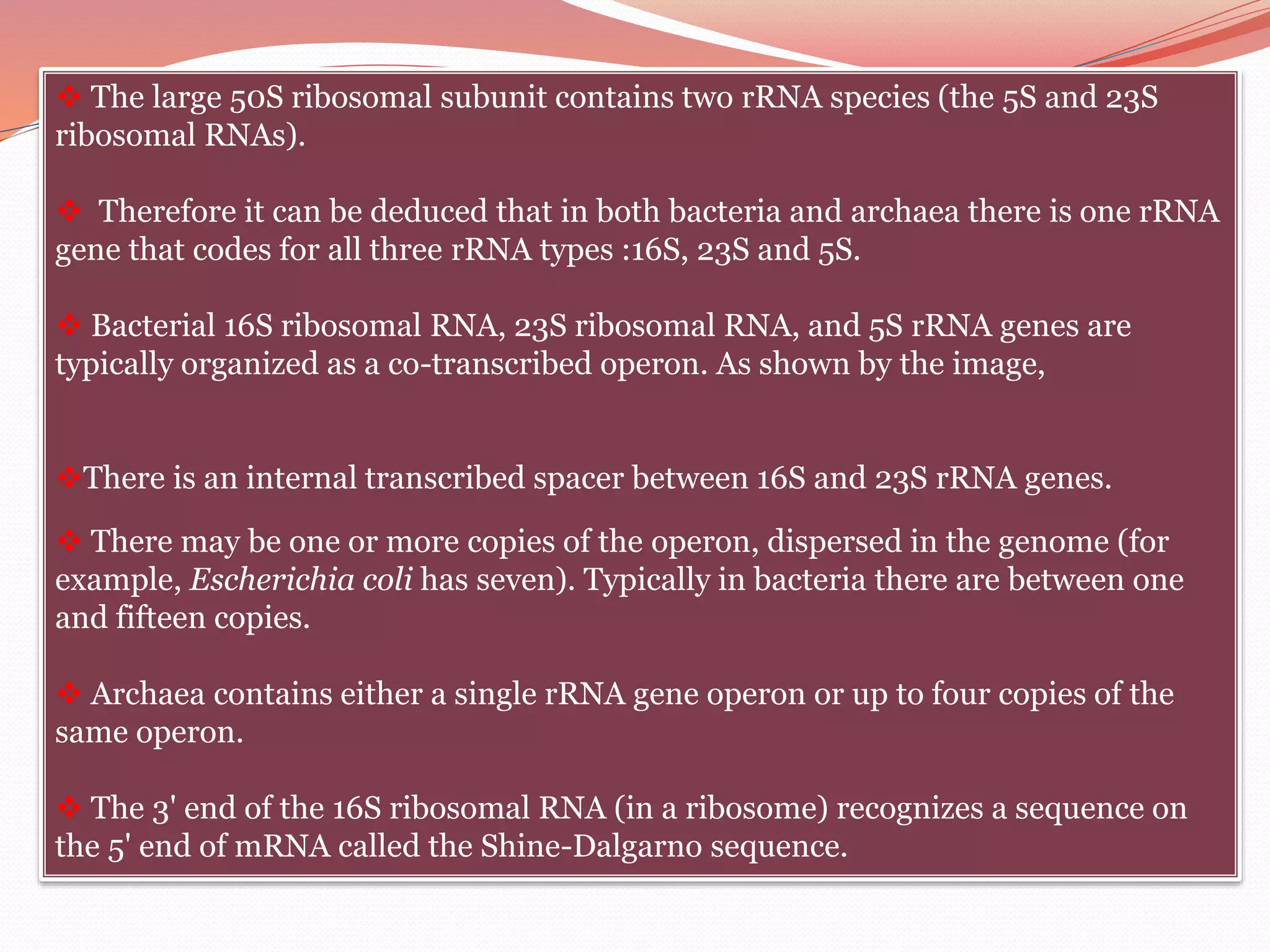 R rna | PPTX
