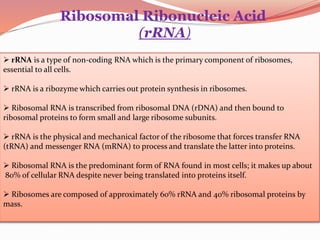 R rna | PPT