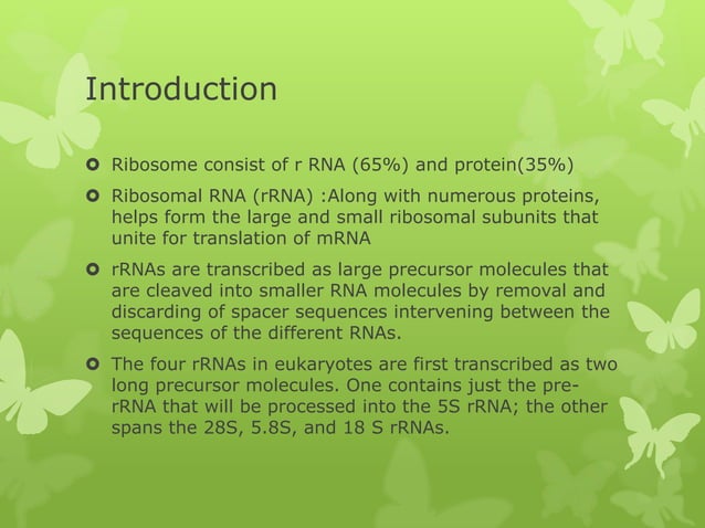 R rna processing | PPTX | Chemistry | Science