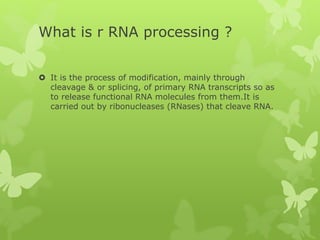 R rna processing | PPTX