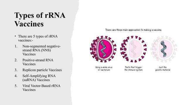 rRNA Vaccines and their types immunology PPT.pptx