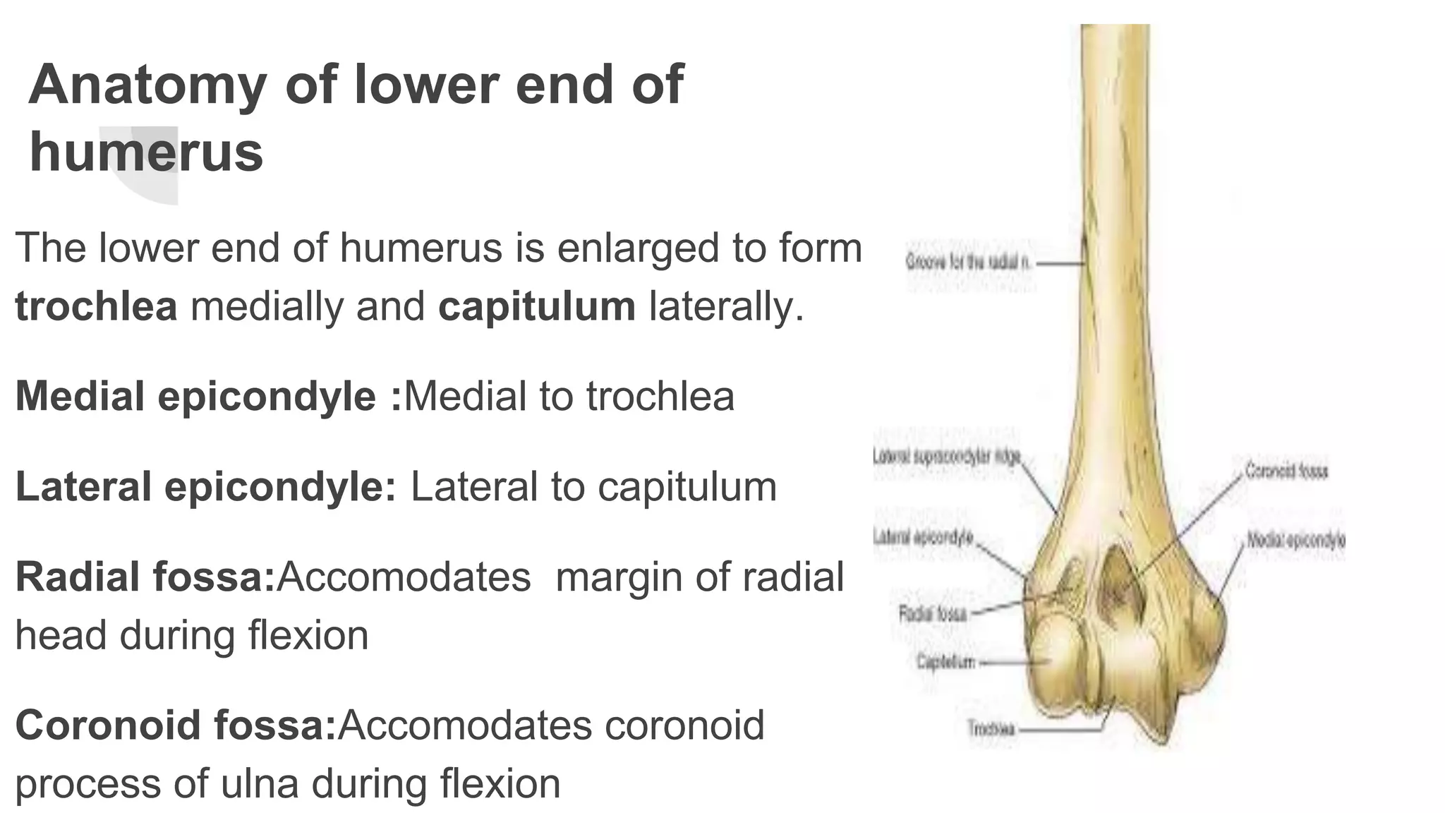 Supracondylar fracture of humerus | PPTX
