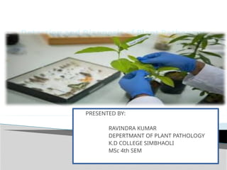Detection and Diagnosis of Plant Pathogens .pptx