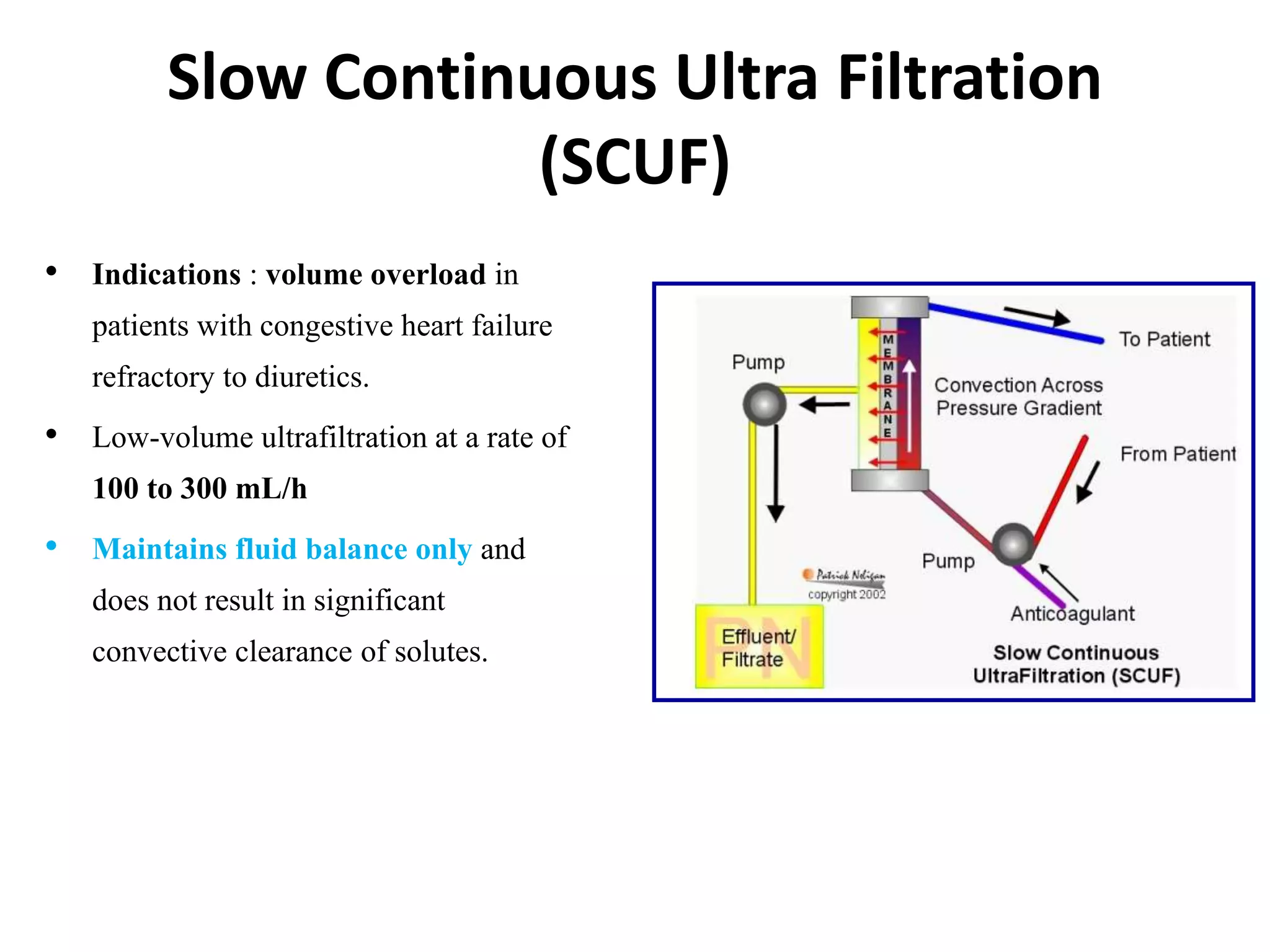 Renal Replacement Therapy: modes and evidence | PPTX