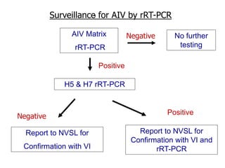 rRT_PCR_Results_Interpretation-J.Pederson.ppt