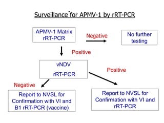 rRT_PCR_Results_Interpretation-J.Pederson.ppt