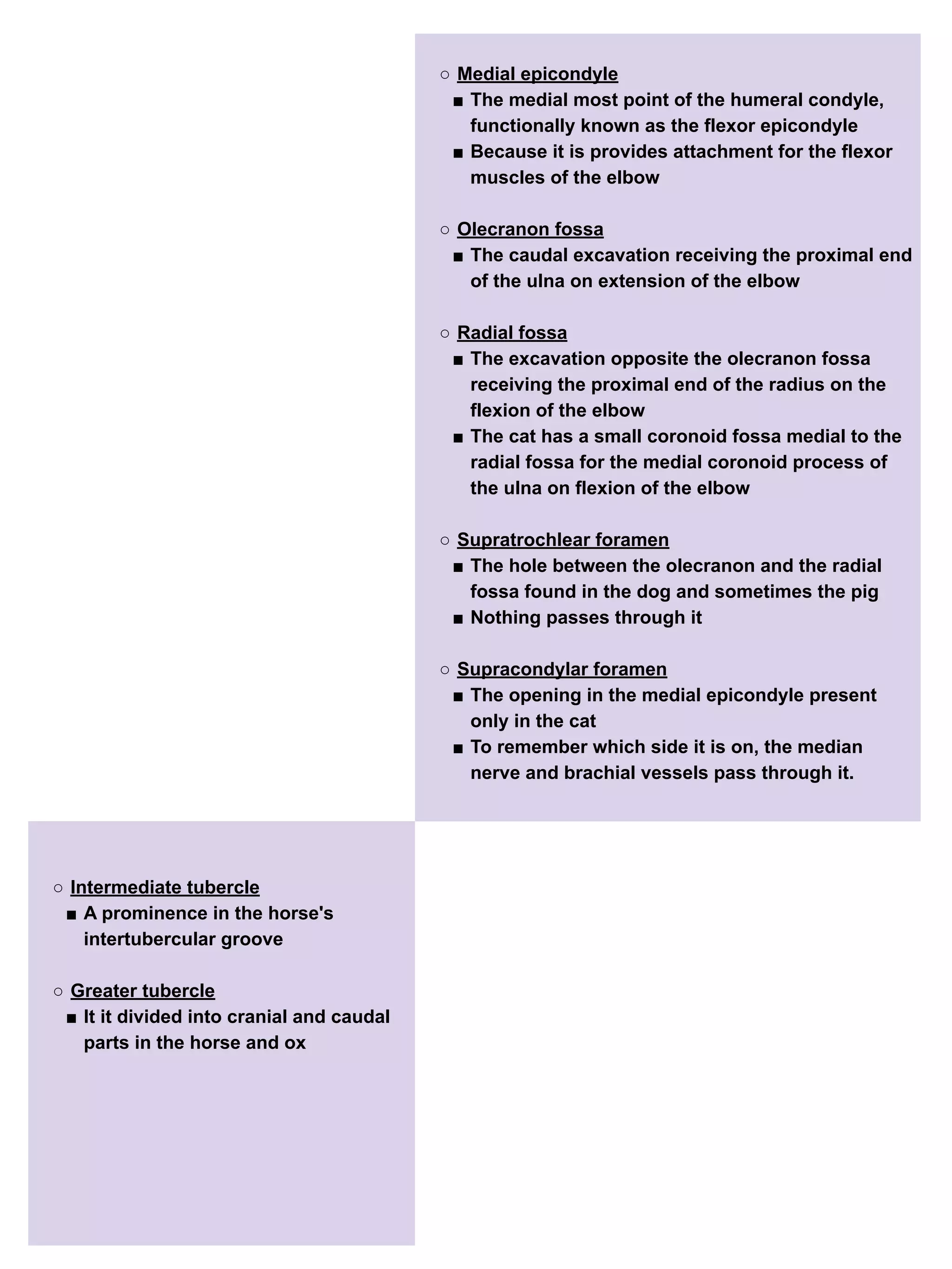 Bone of fore_limb | PDF