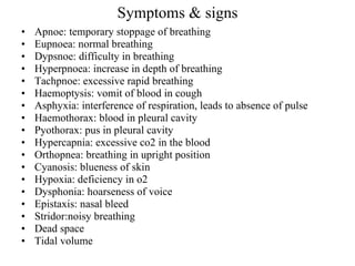 Respiratory System | PPT