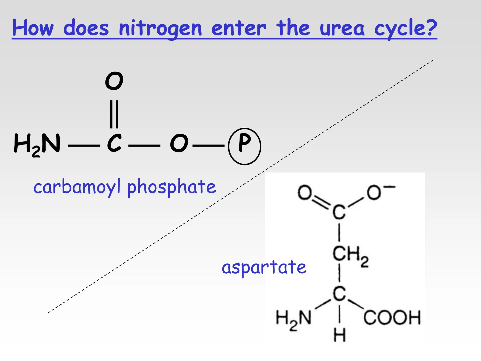 Urea Process Metabolism System Optimization RS -B-2.pdf
