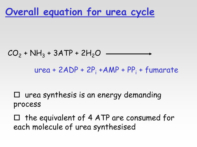 Urea Process Metabolism System Optimization RS -B-2.pdf