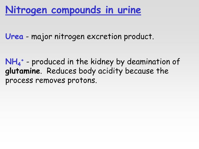 Urea Process Metabolism System Optimization RS -B-2.pdf