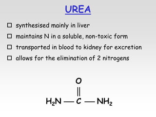 Urea Process Metabolism System Optimization RS -B-2.pdf