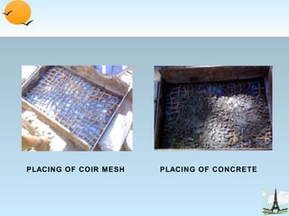 coir fiber reinforced prefabricated panels | PPT