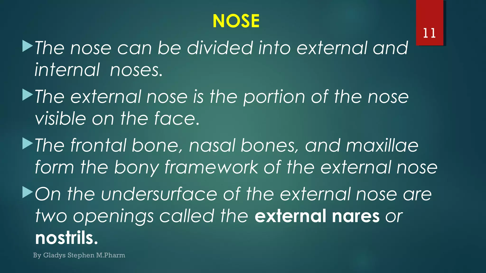 Human Respiratry system | PPT