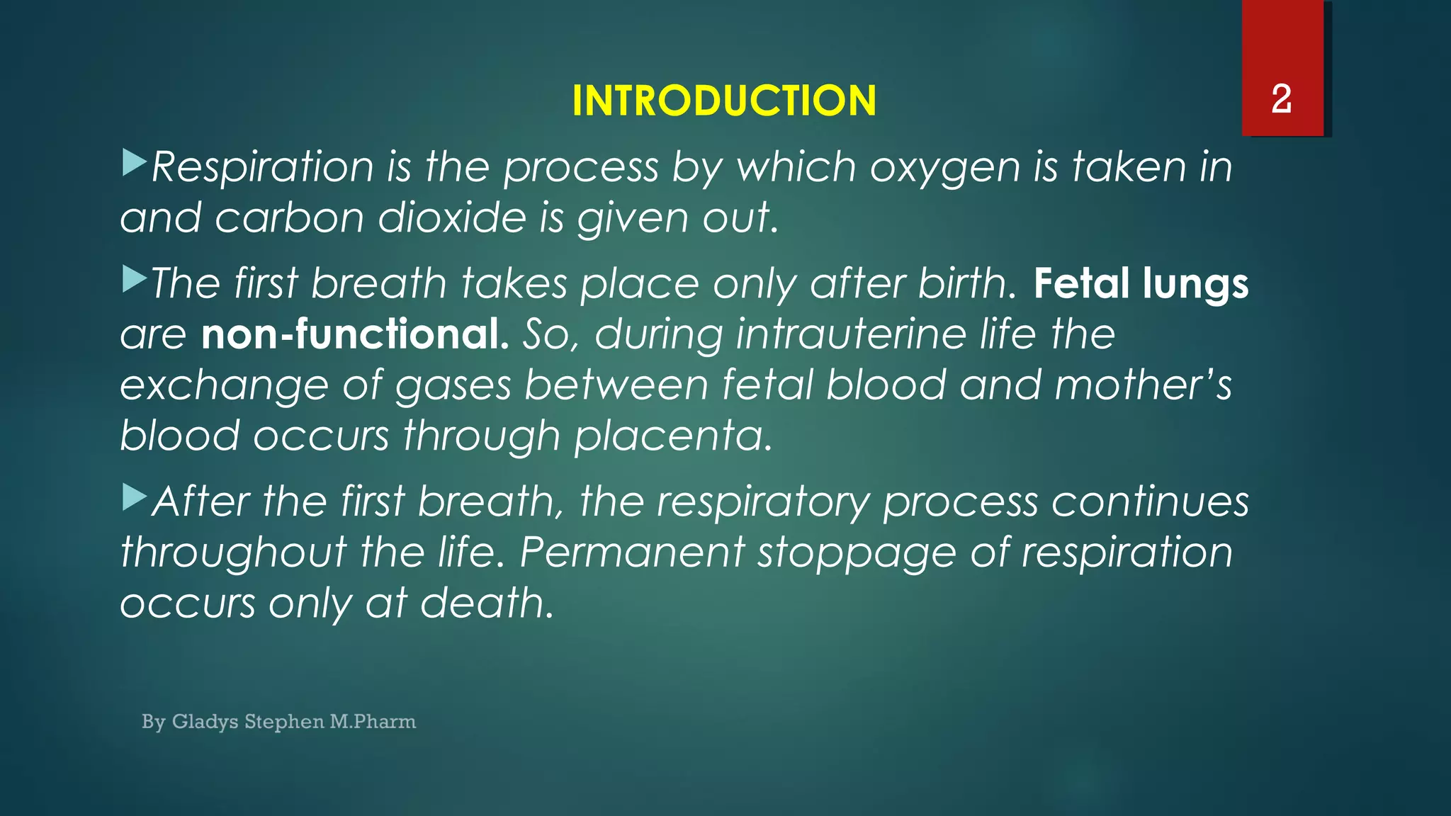 Human Respiratry system | PPT