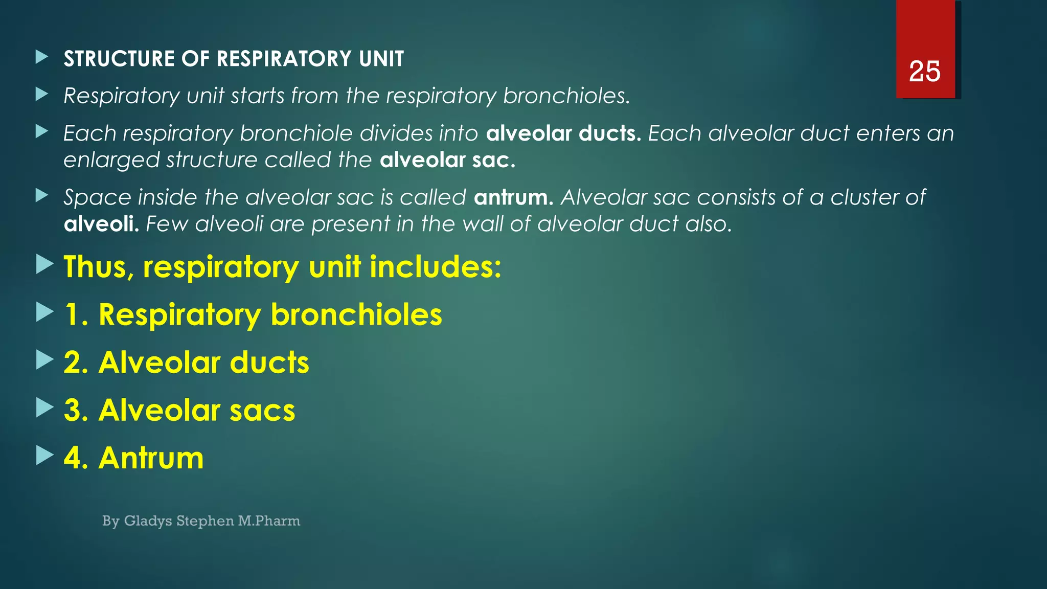 Human Respiratry system | PPT