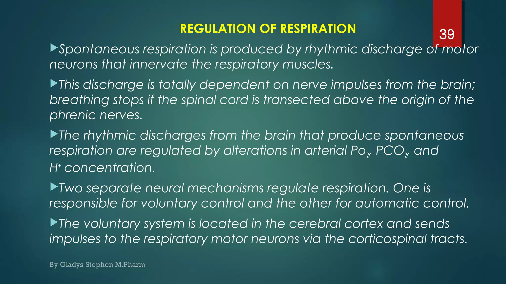 Human Respiratry system | PPT