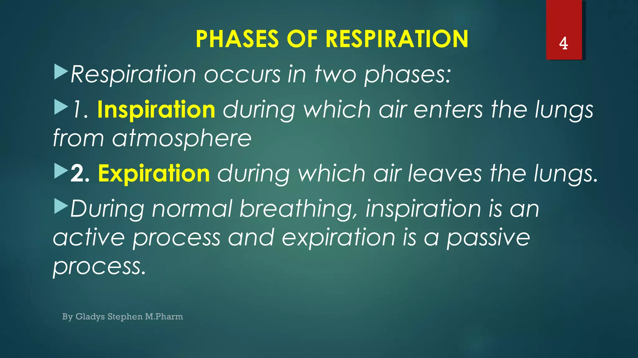 Human Respiratry system | PPT
