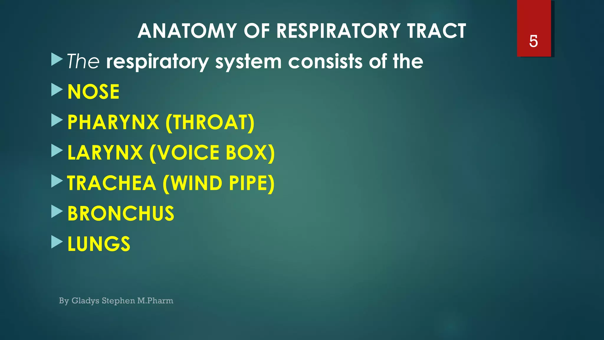 Human Respiratry system | PPT