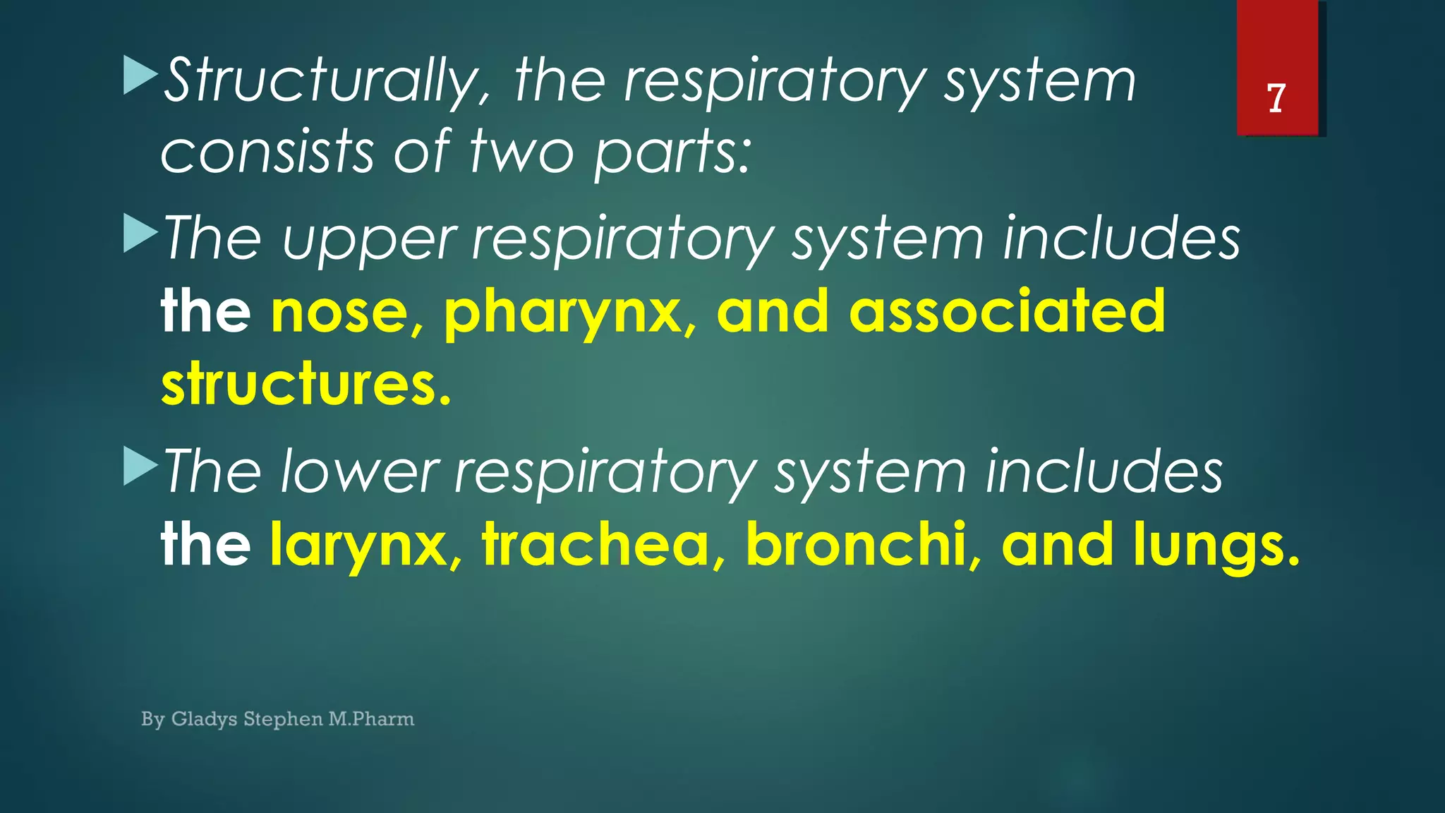 Human Respiratry system | PPT