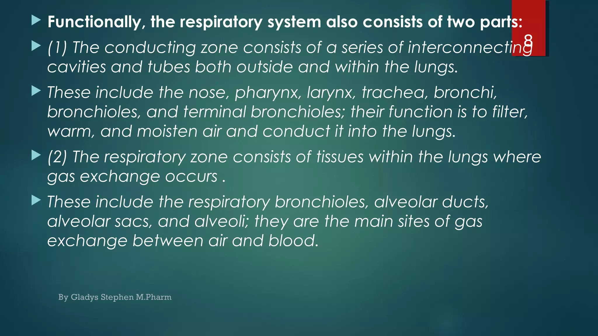 Human Respiratry system | PPT