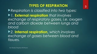 Human Respiratry system | PPT