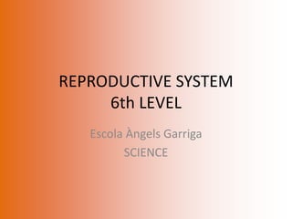 Rs1 | PPT | Free Download