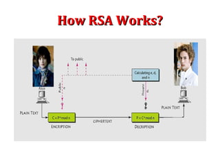 Rsa rivest shamir adleman | PPT