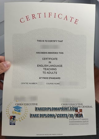 RSA Cambridge CELTA certificate.pdf