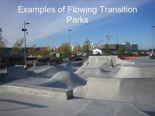 RSA Skatepark Design Presentation | PDF