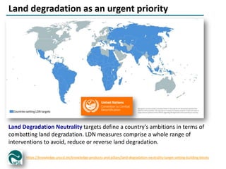 The Role of Strategic Plans in Reducing Land Degradation in European Urban Regions | PPT