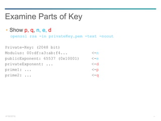 RSA Signature Verification | PPTX | Technology & Computing