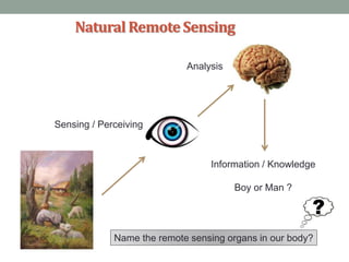 Basics of Remote Sensing | PPTX