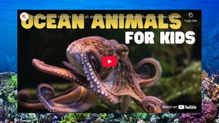 Biology Ocean Virtual Field Trip PowerPoint | PPT