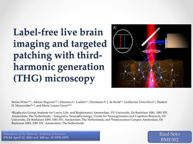 Label-free live brain imaging and targeted patching with third-harmonic ...