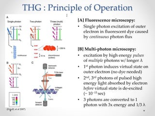 Label-free live brain imaging and targeted patching with third-harmonic ...